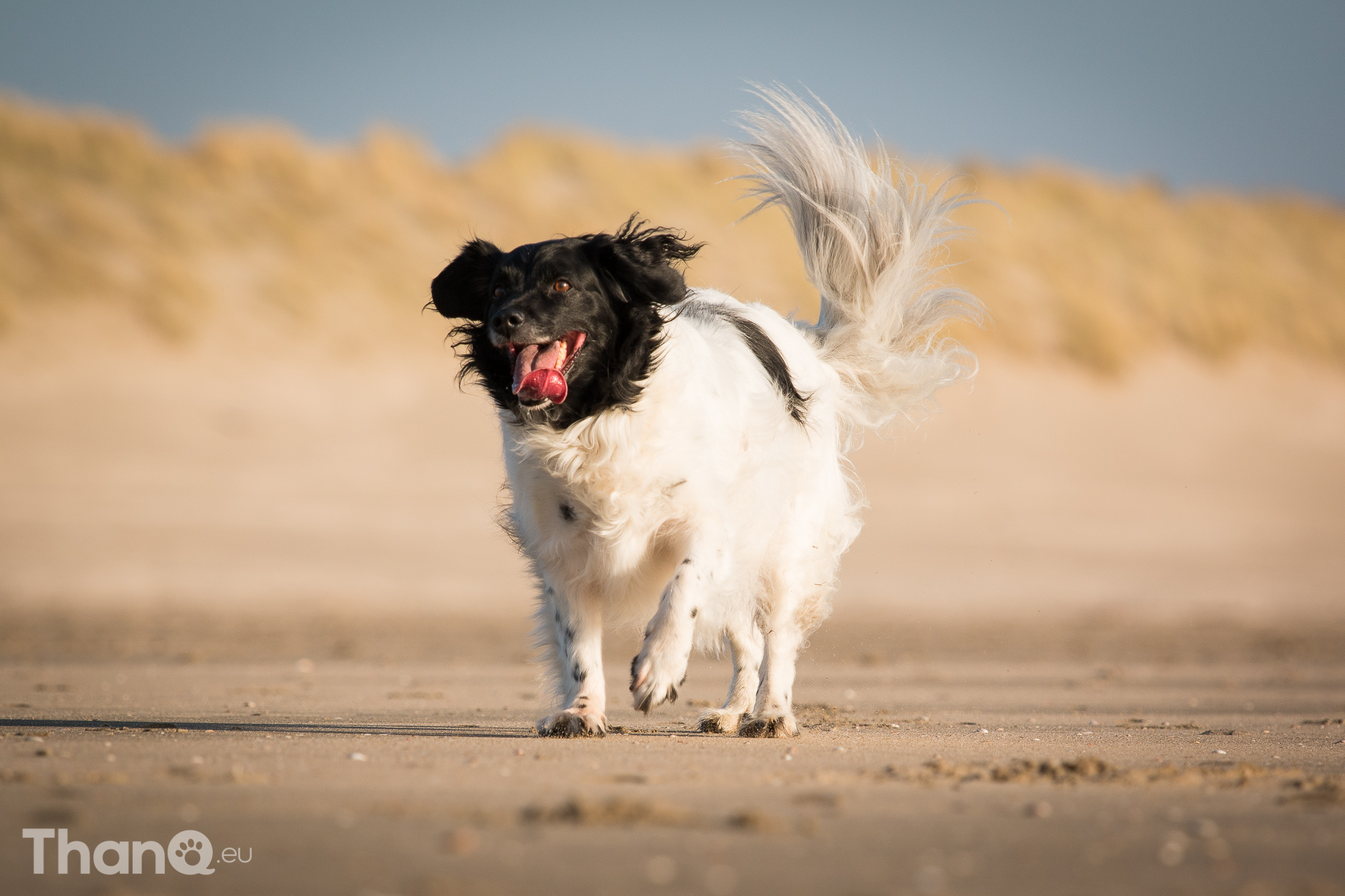 Fotoshoot op het strand met Lucy | ThanQ.eu