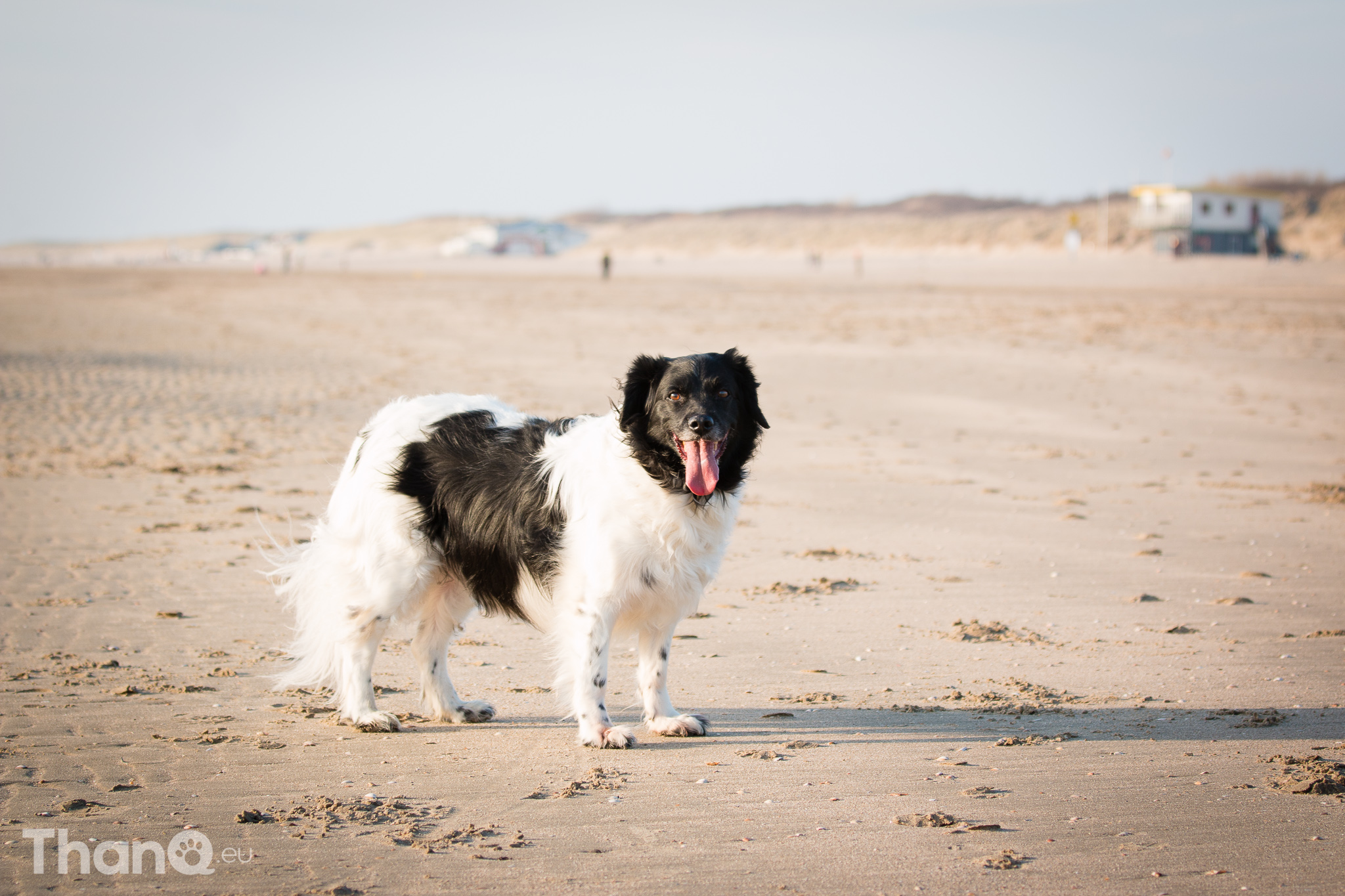 Fotoshoot op het strand met Lucy | ThanQ.eu
